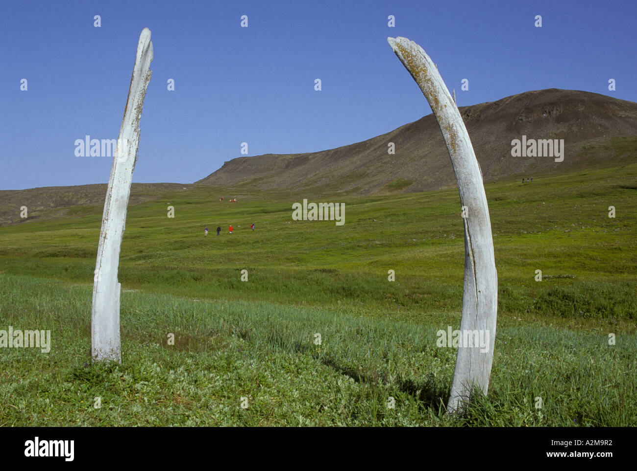 Asia, Russia, Siberian Arctic. Researchers touring tundra in spring ...