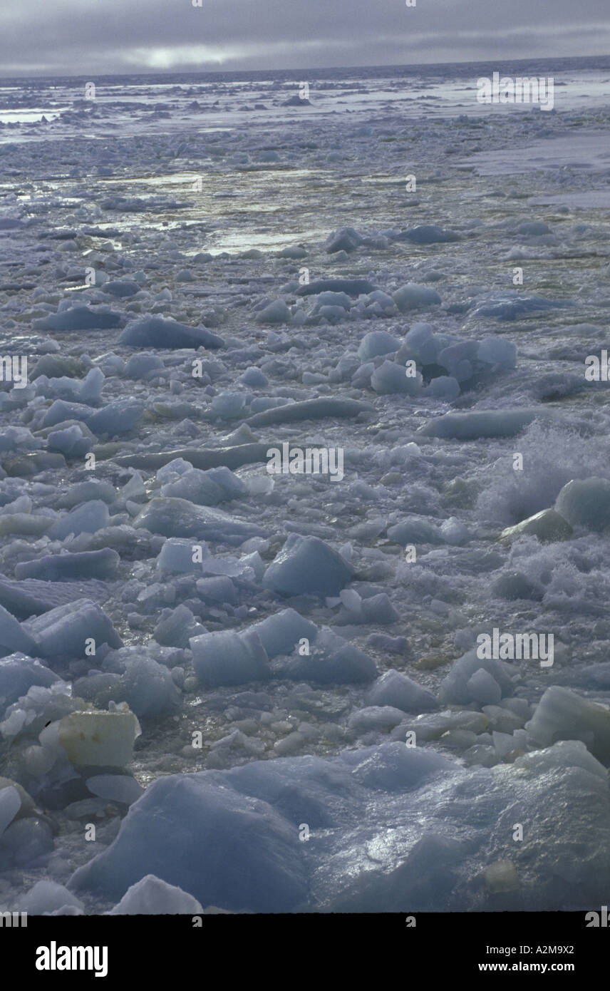 Asia, Russia, Siberian Arctic. Pack ice Stock Photo - Alamy