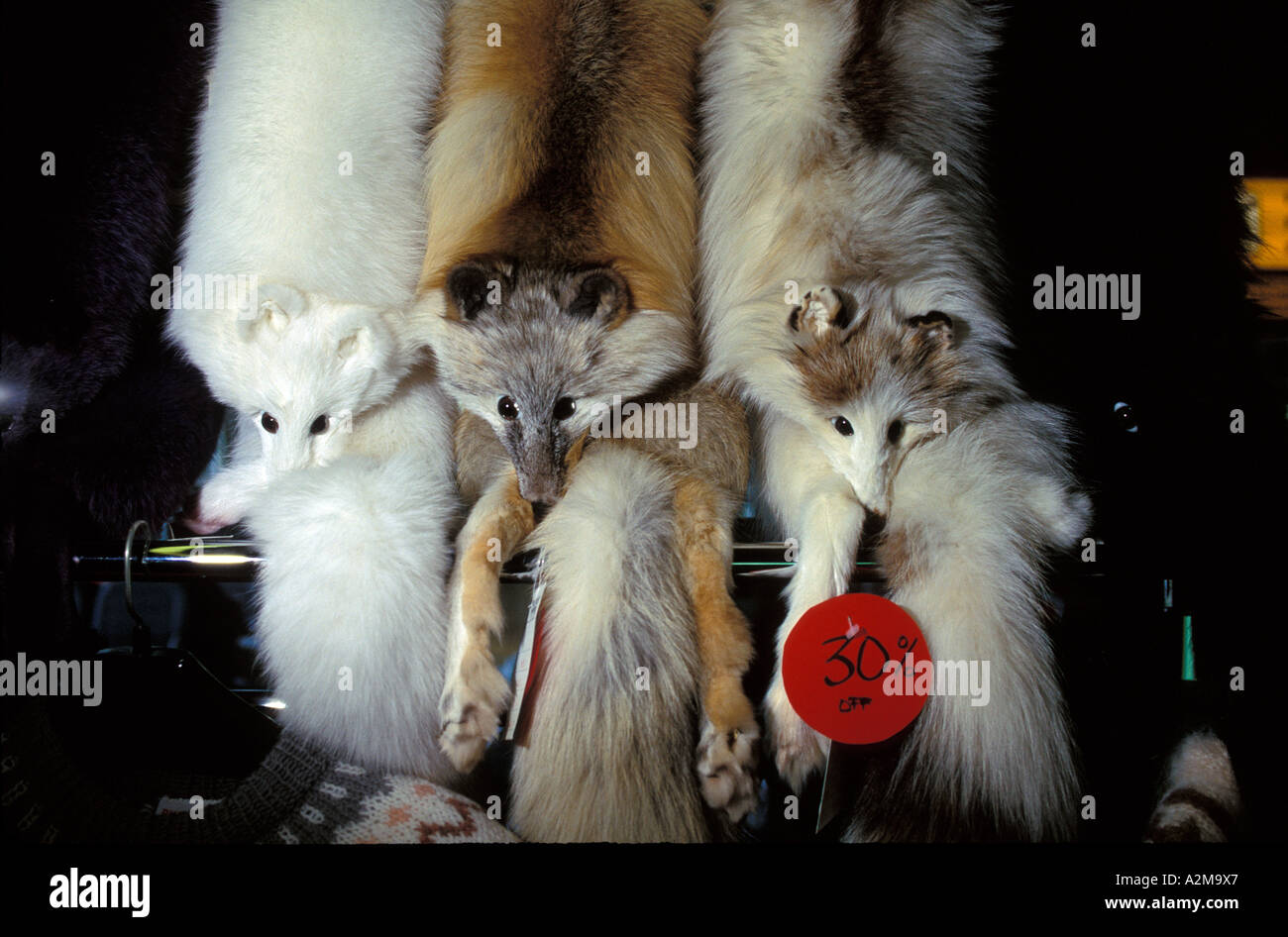 Russian furs hi-res stock photography and images - Alamy