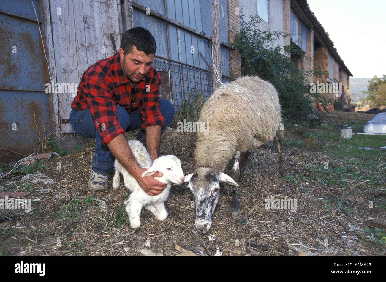 Ossoli hi-res stock photography and images - Alamy