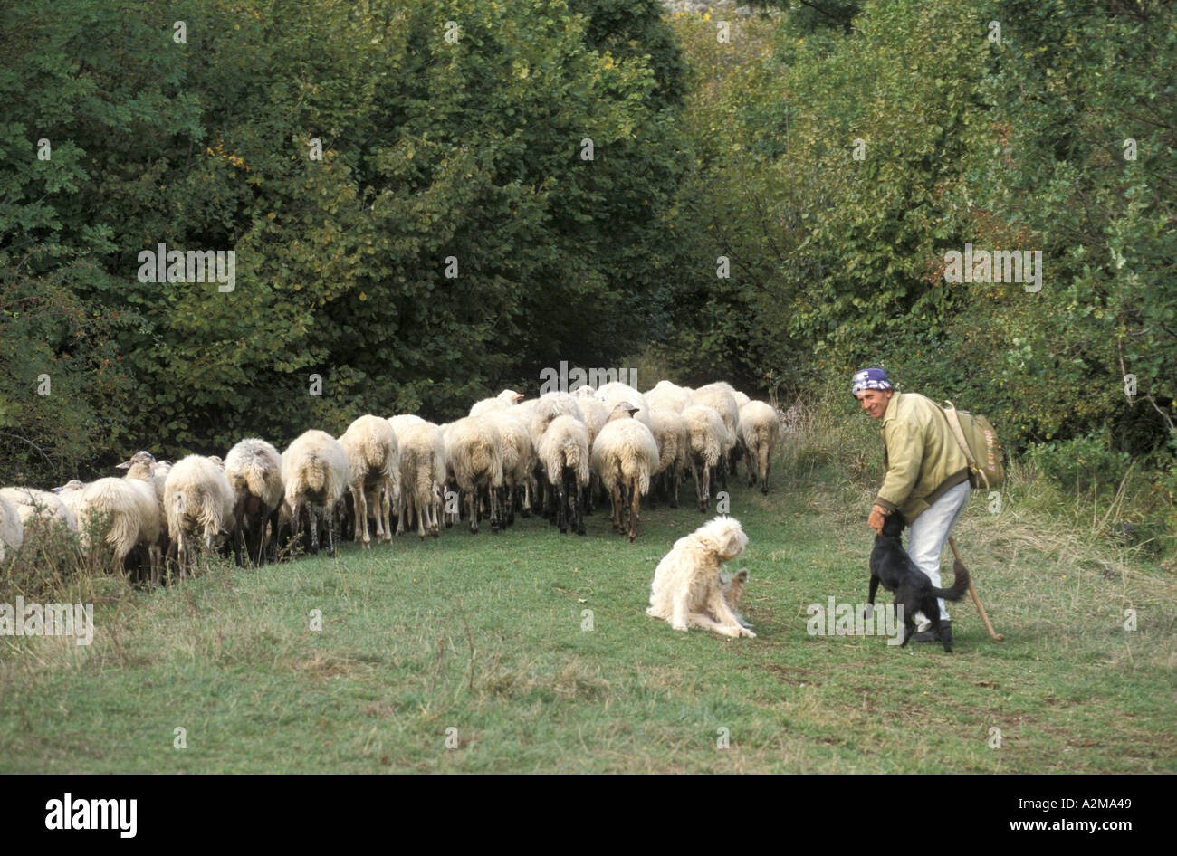 Ossoli hi-res stock photography and images - Alamy