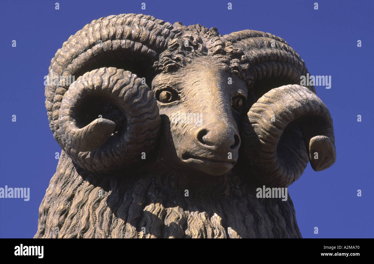 The Moffat Ram High Resolution Stock Photography and Images - Alamy