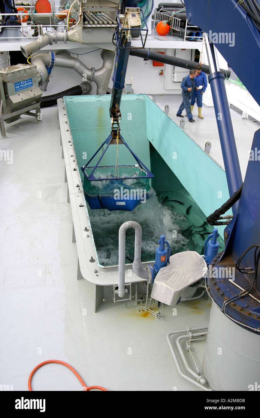 Caged fish farming hi-res stock photography and images - Alamy