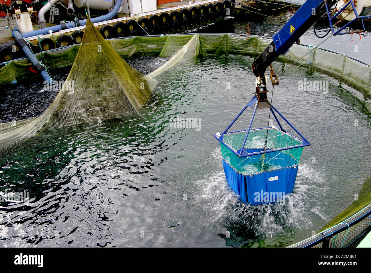 Caged fish farming hi-res stock photography and images - Alamy