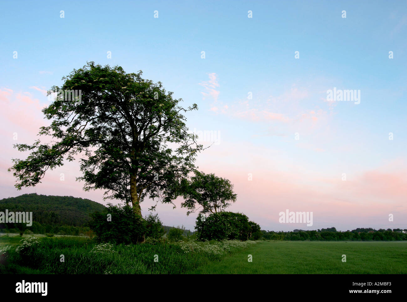 Pasture rogaland hi-res stock photography and images - Alamy
