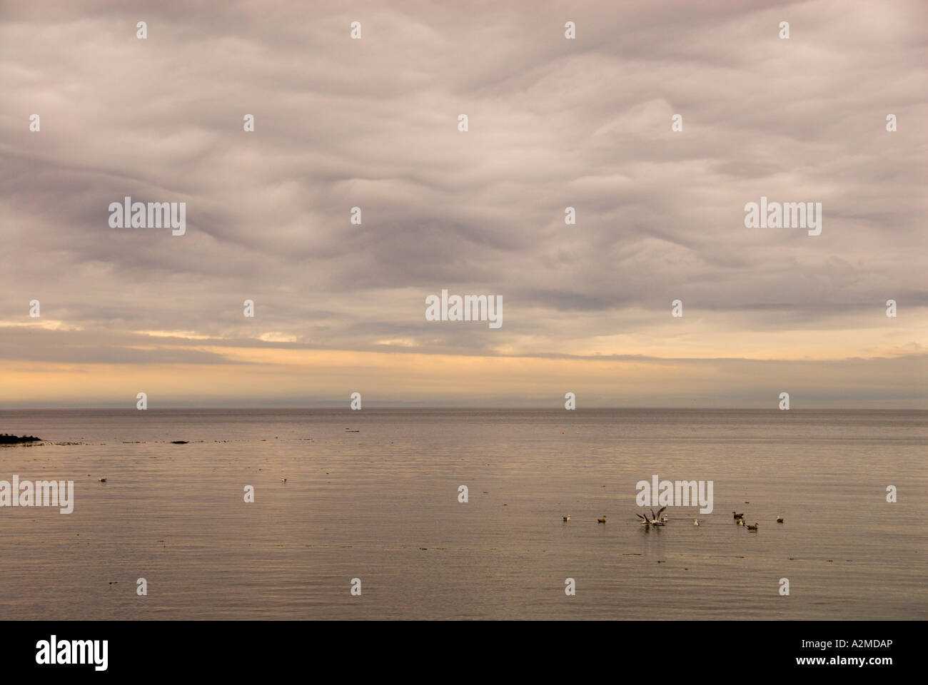 Calm seas in the Strait of Juan de Fuca Stock Photo - Alamy