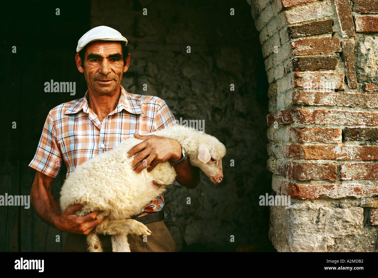 Italian shepherd hi-res stock photography and images - Alamy