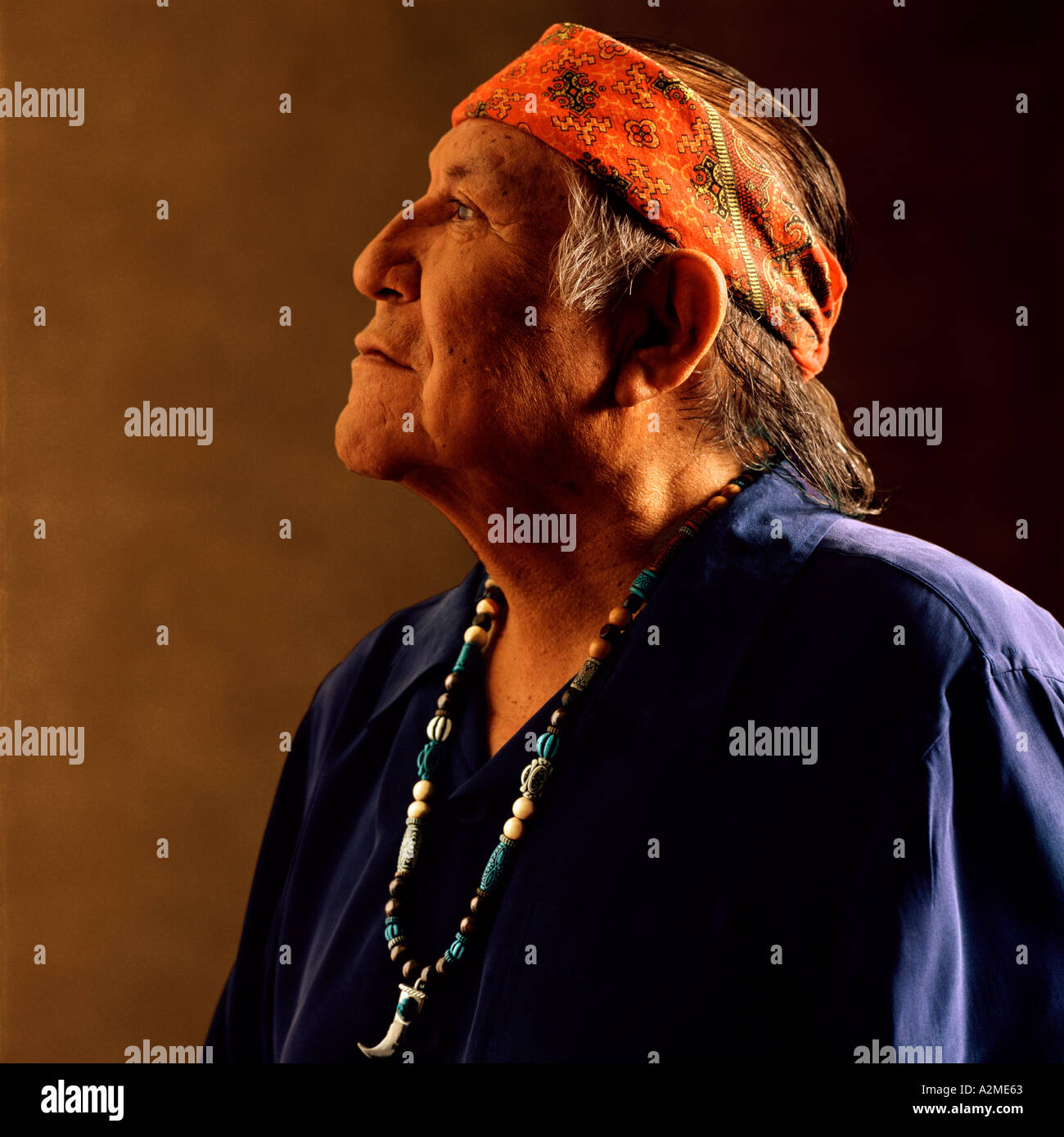 portrait of RC Gorman Stock Photo - Alamy