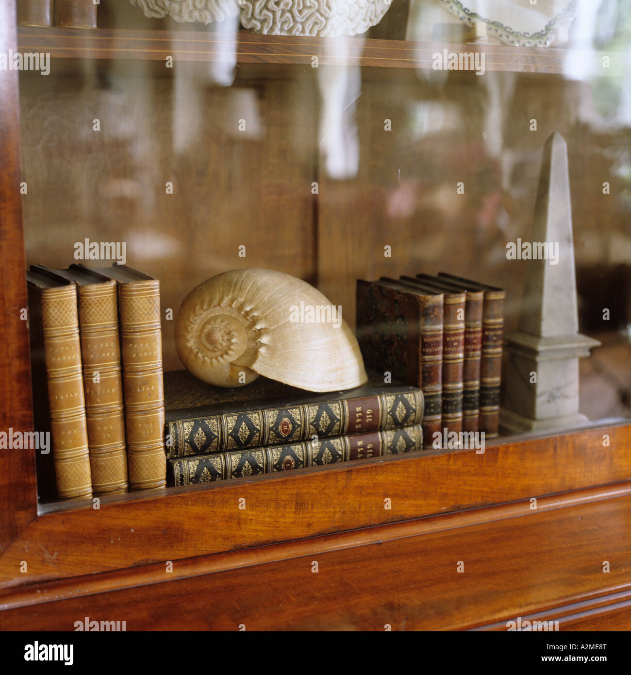 Seashell on book pile in a glass-fronted bookcase Stock Photo - Alamy
