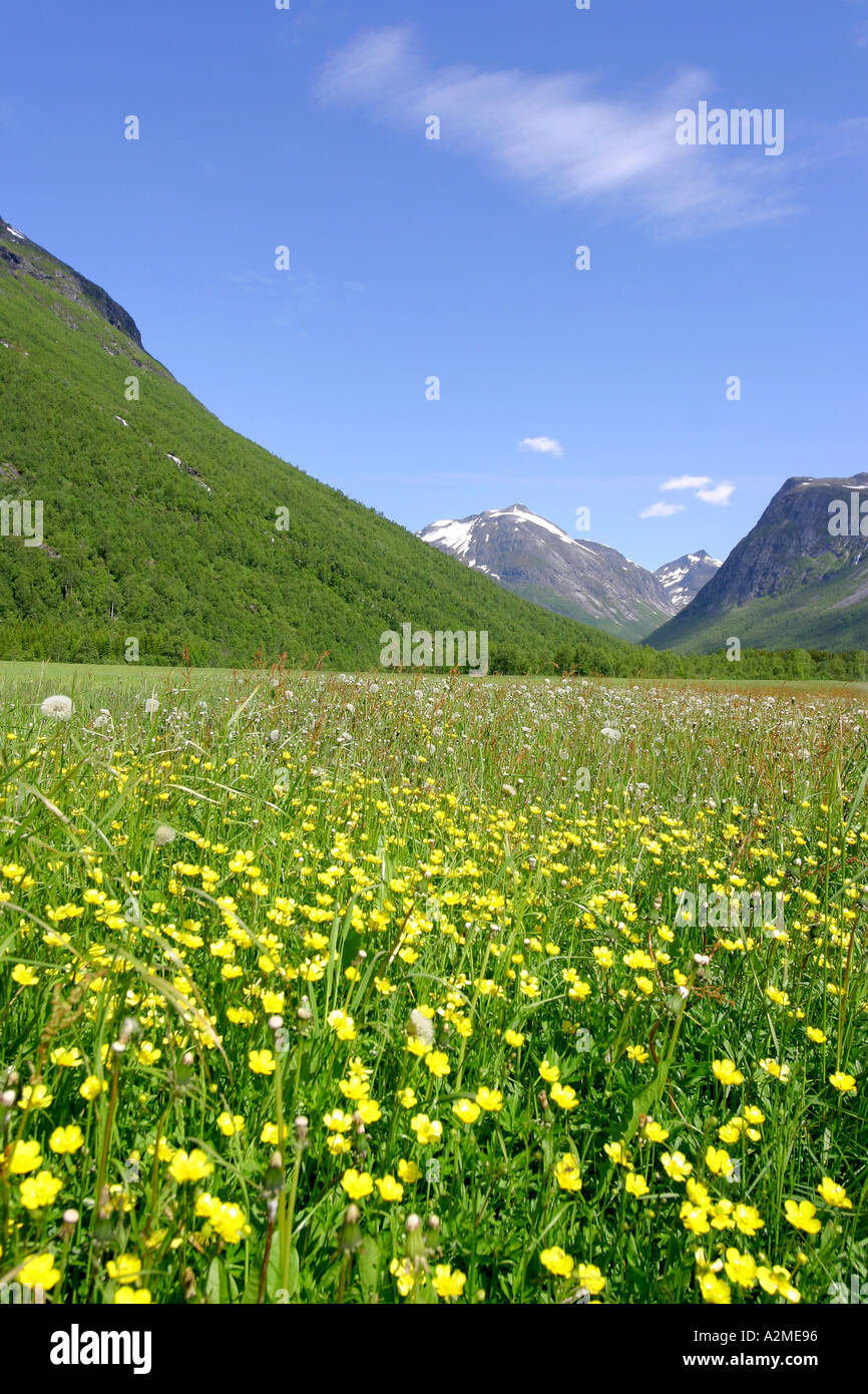 Valldalen norway hi-res stock photography and images - Alamy