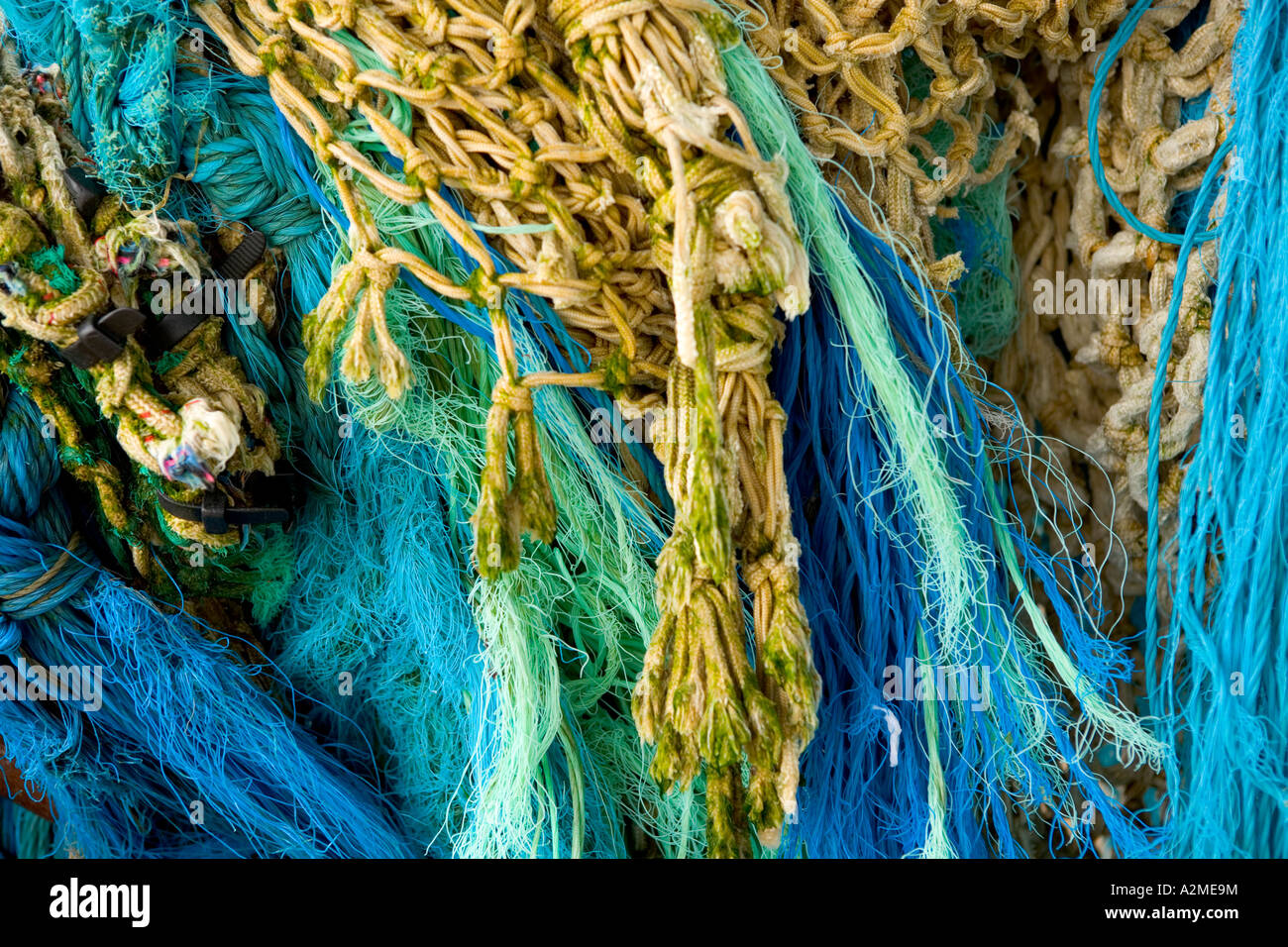 Seaweed Art High Resolution Stock Photography and Images - Alamy