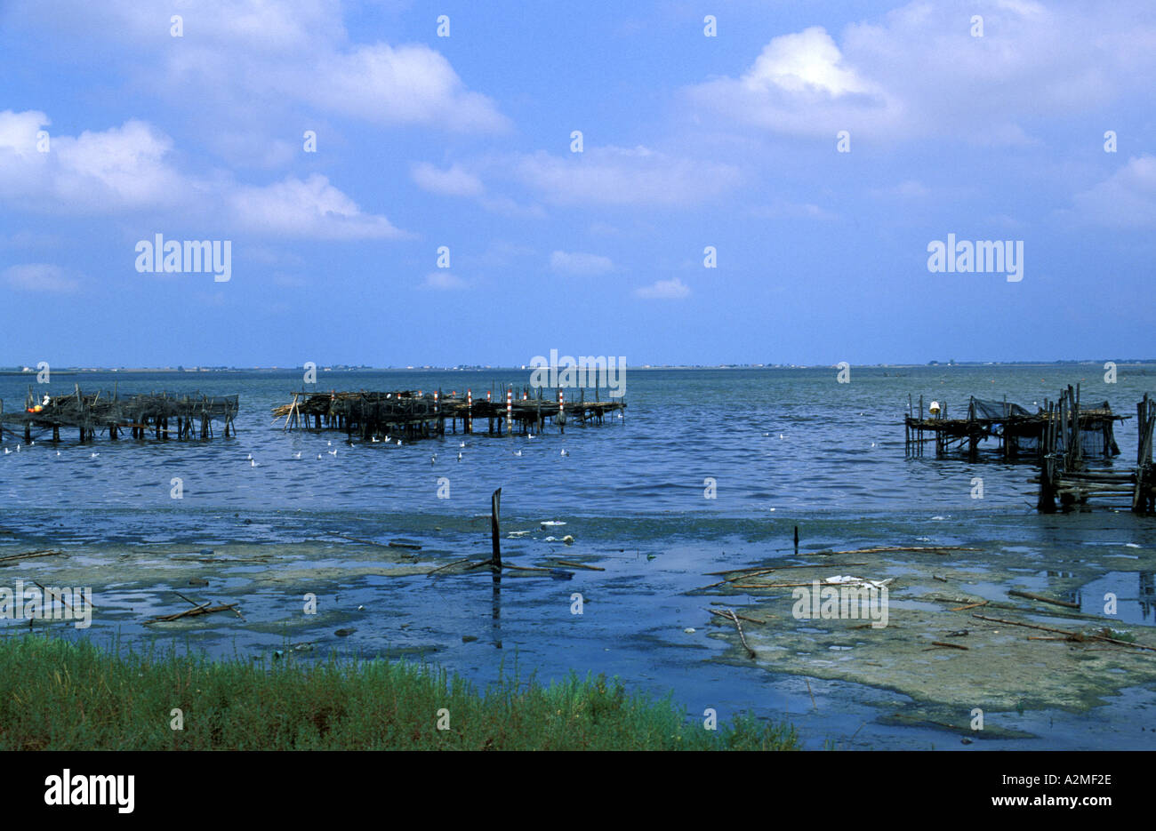 Lesina puglia hi-res stock photography and images - Alamy