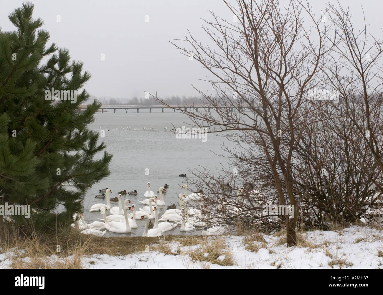 Brøndby strand copenhagen hi-res stock photography and images - Alamy