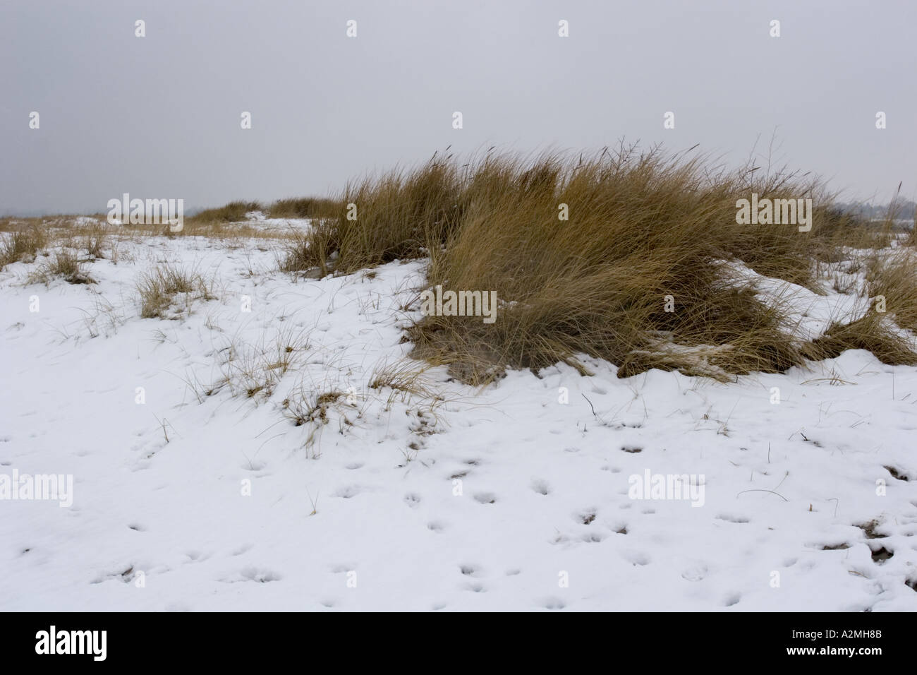 Brøndby strand copenhagen hi-res stock photography and images - Alamy