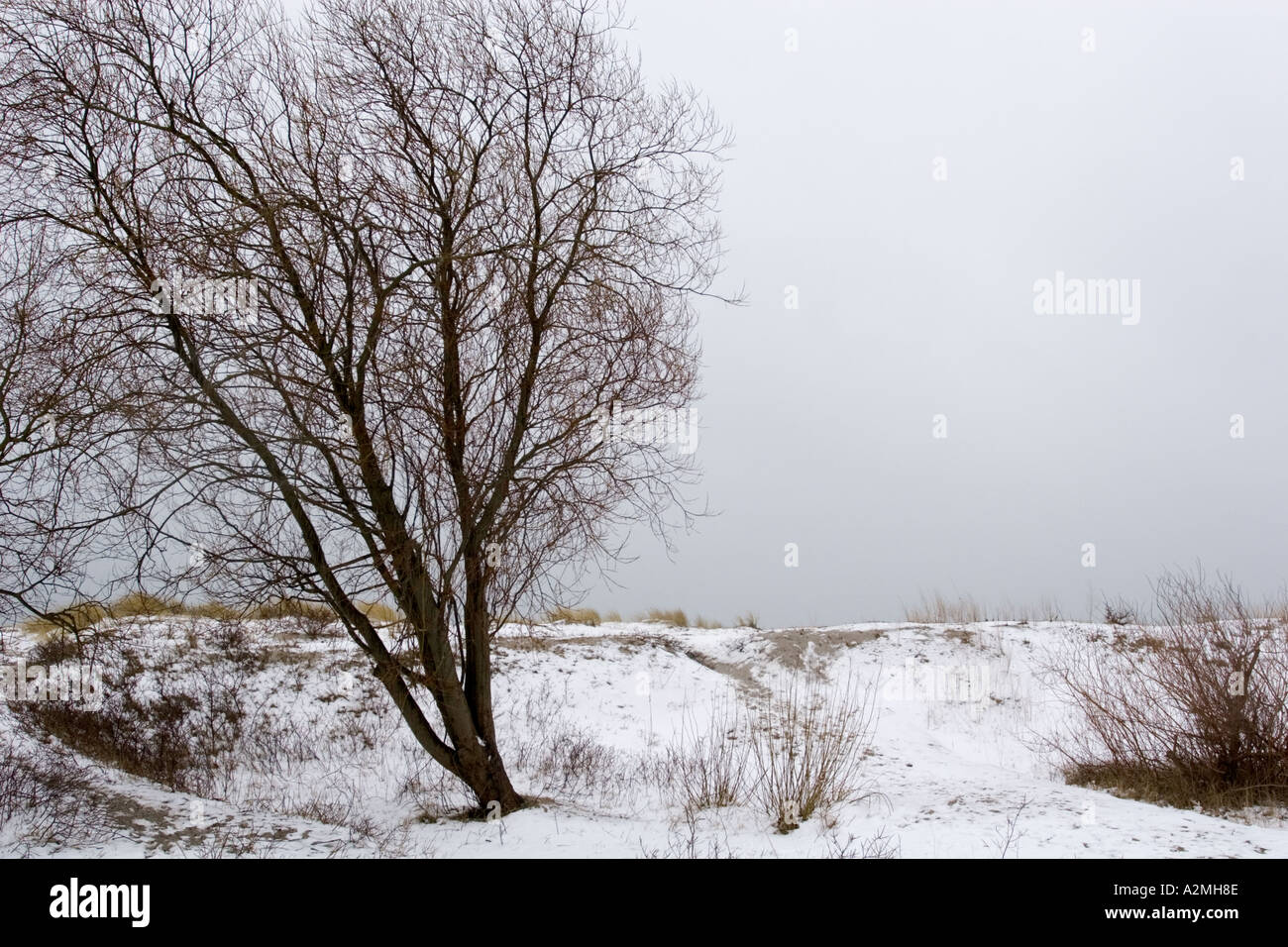 Brøndby strand copenhagen hi-res stock photography and images - Alamy