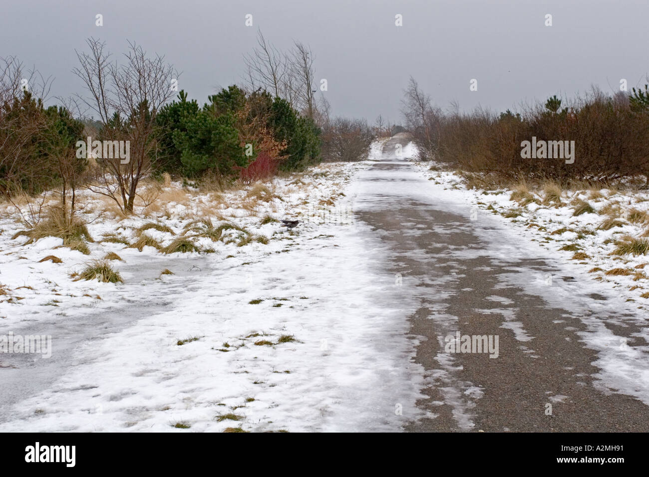 Brondby Strand High Resolution Stock Photography and Images - Alamy