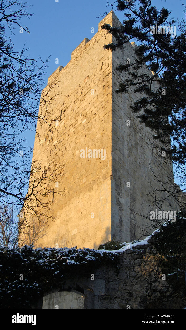 the triangle tower of the castle ruin Rauheneck in the town of Baden ...