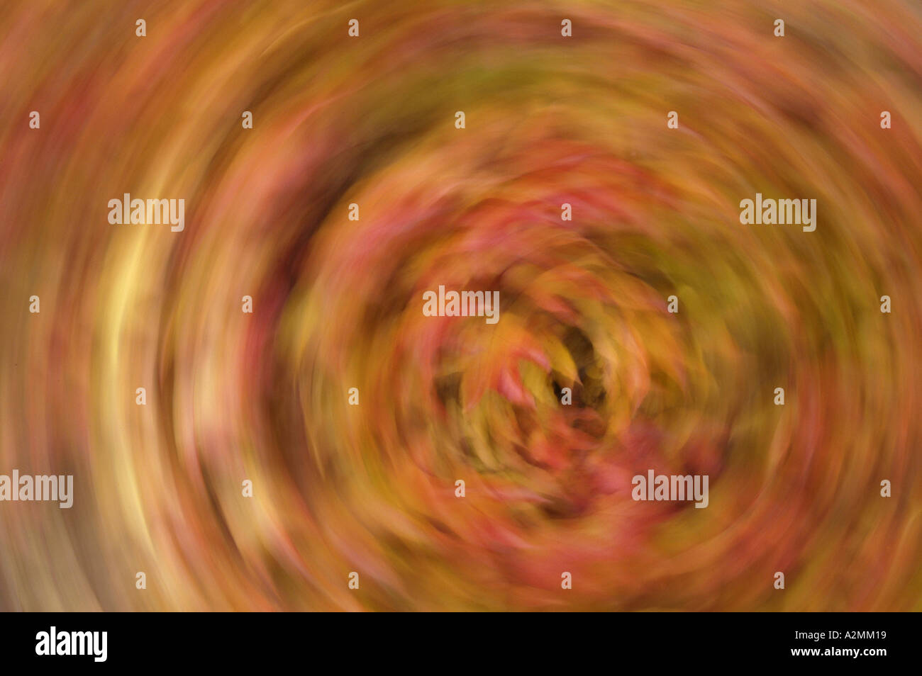 picture of fall foliage with long exposure Stock Photo - Alamy