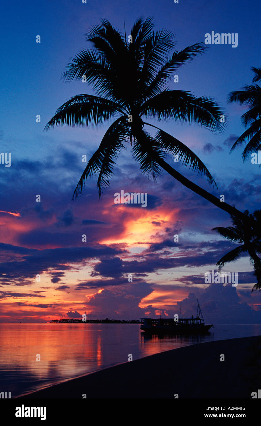 sunset on palm beach Stock Photo - Alamy