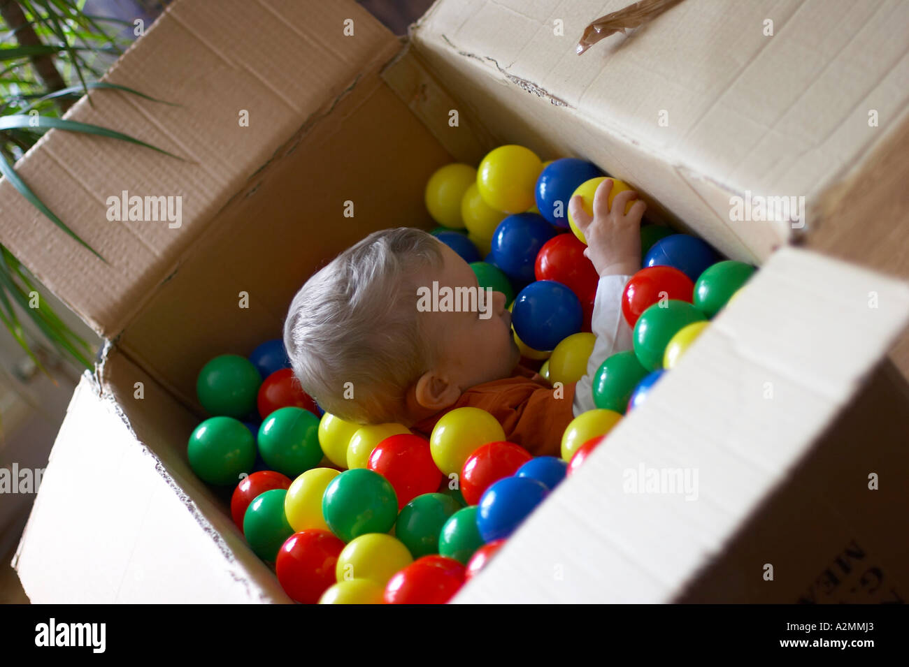 baby sitting in box with hundreds of colorful plastic balls Stock Photo ...