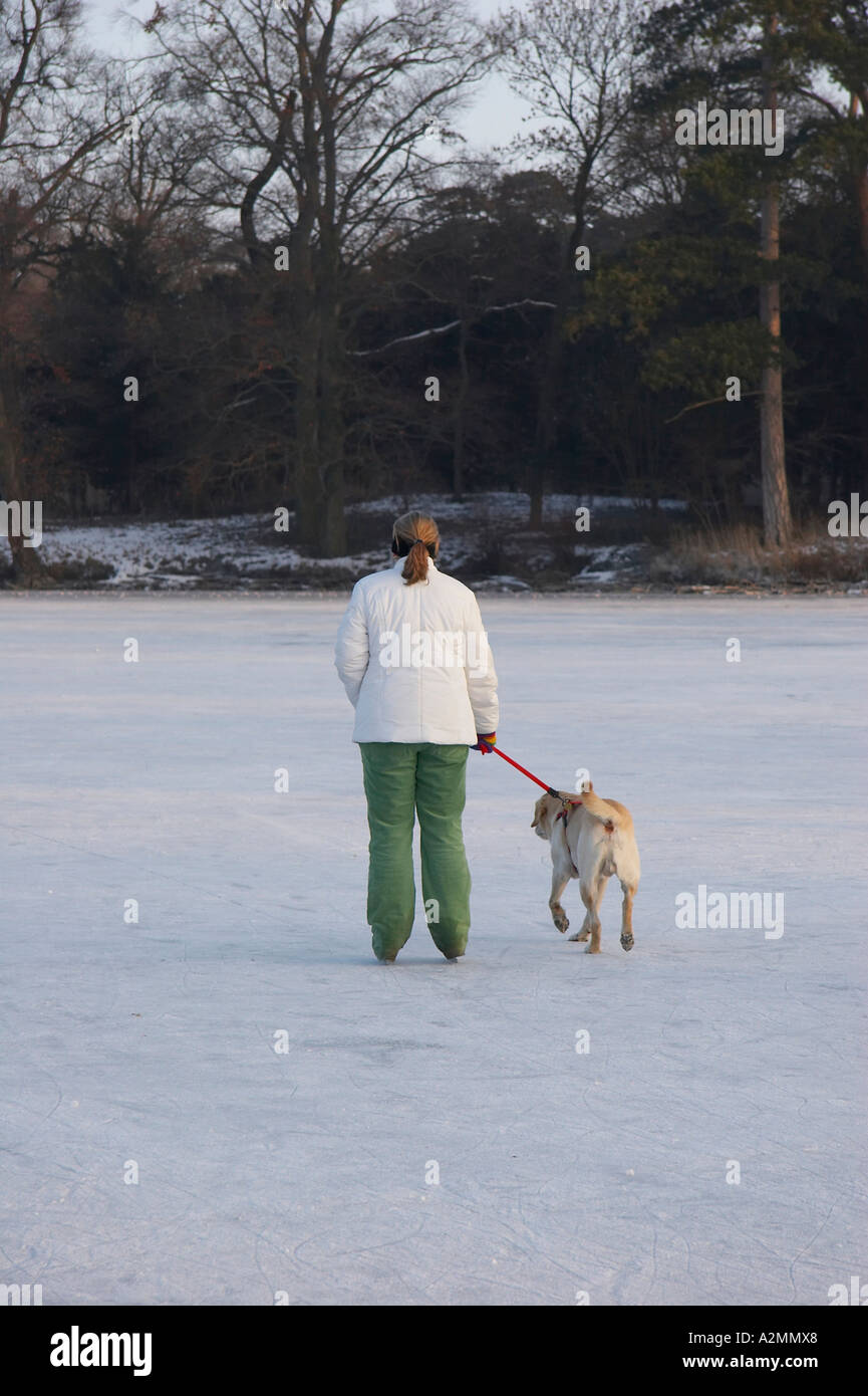 Skating dog hi-res stock photography and images - Alamy