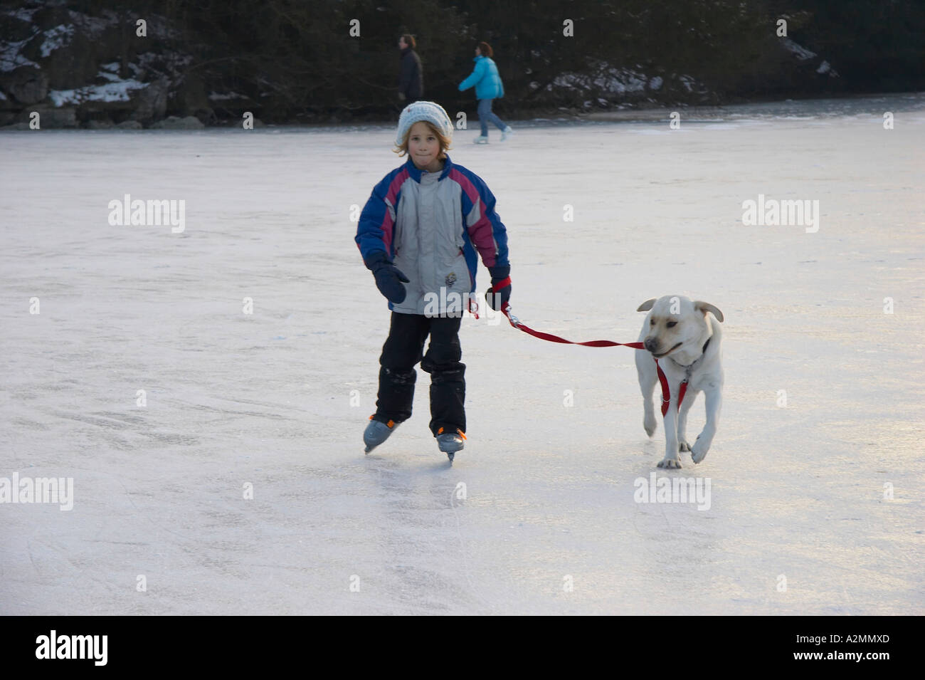ice skating with dog Stock Photo - Alamy