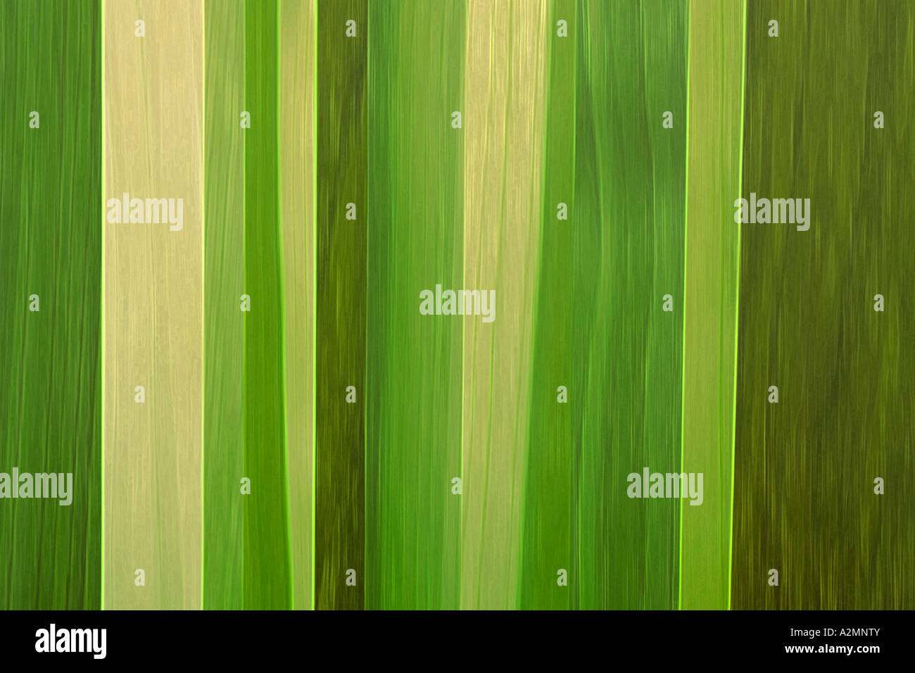 Green abstract - vertical stripes Stock Photo - Alamy
