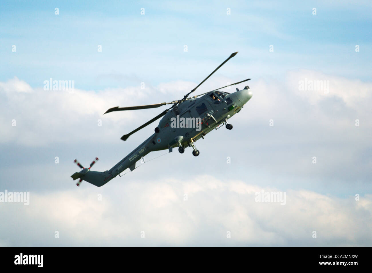 Black Cats Lynx helicopter Stock Photo - Alamy