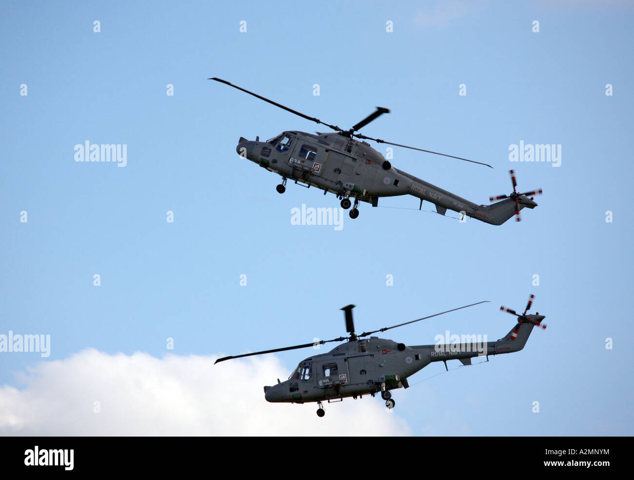 Royal Navy Black Cats helicopter display team Lynx heklicopters Stock ...