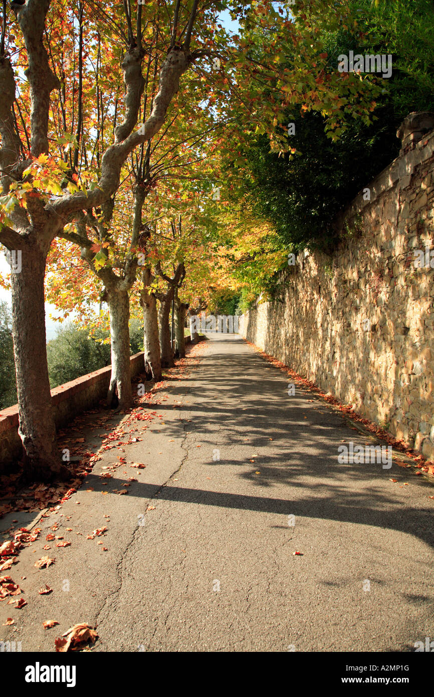 Tree lined hill top hi-res stock photography and images - Alamy