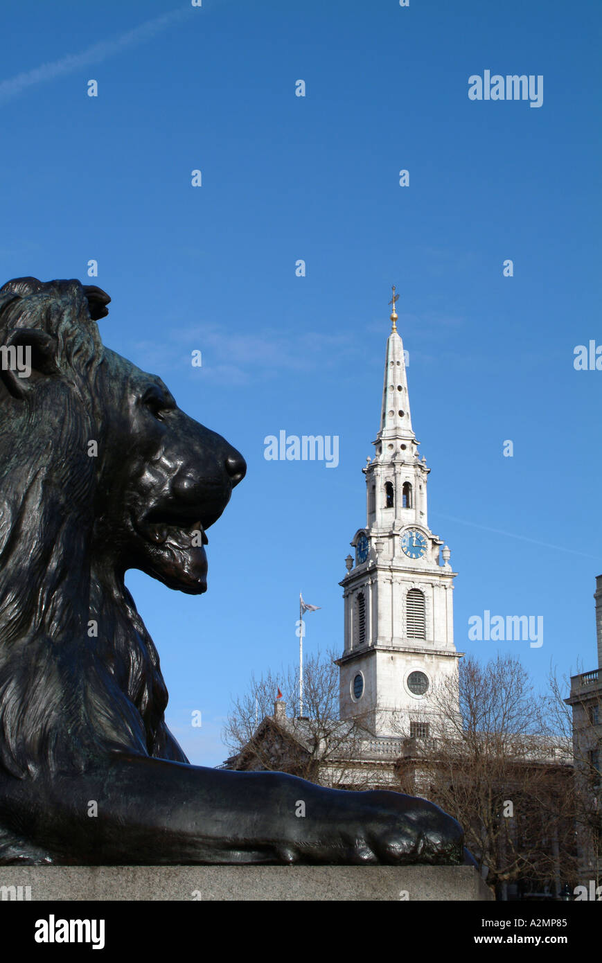 Bronze Lion Trafalgar Square Stock Photo - Alamy