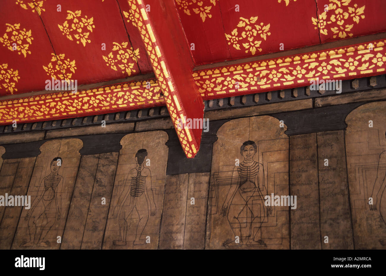 Pressure points diagram hi-res stock photography and images - Alamy