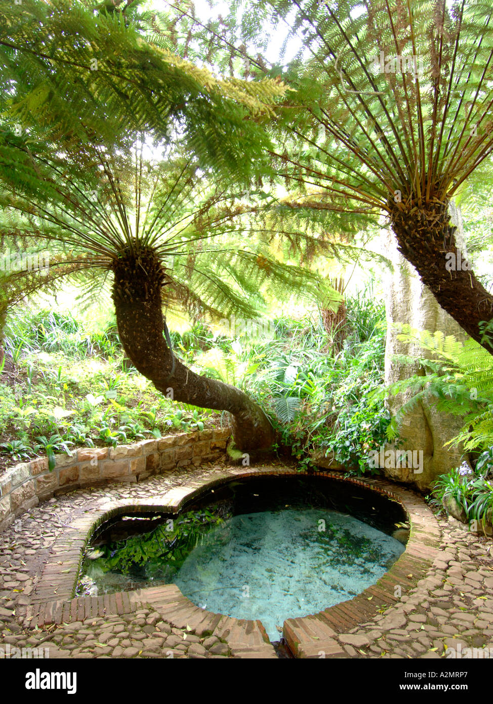 'Colonel Bird's Bath' in the Kirstenbosch Botanical Gardens in Cape ...