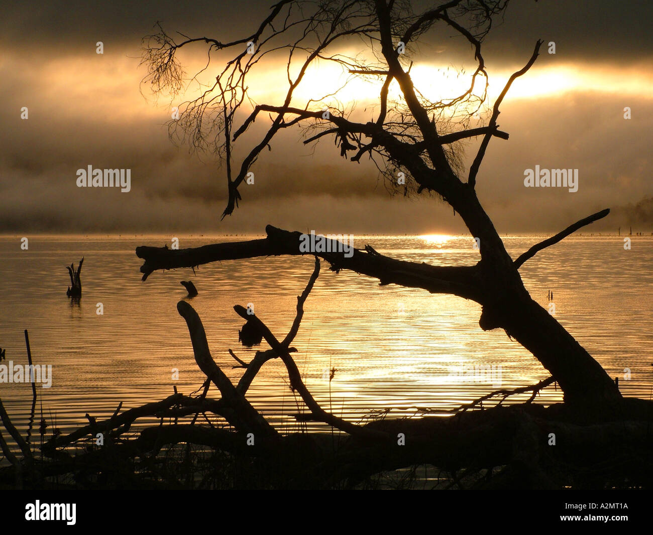 Lake and trees at sunset Stock Photo - Alamy