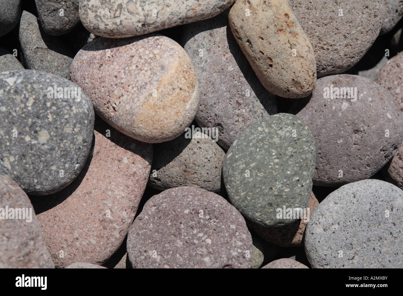 colored pebbles on a beach Stock Photo - Alamy