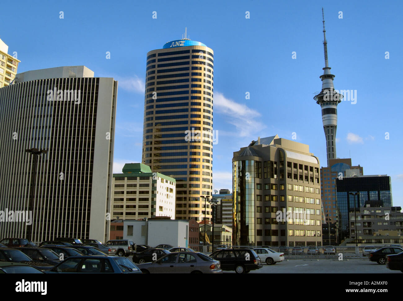 Auckland skytower and downtown office towers Auckland city New Zealand ...
