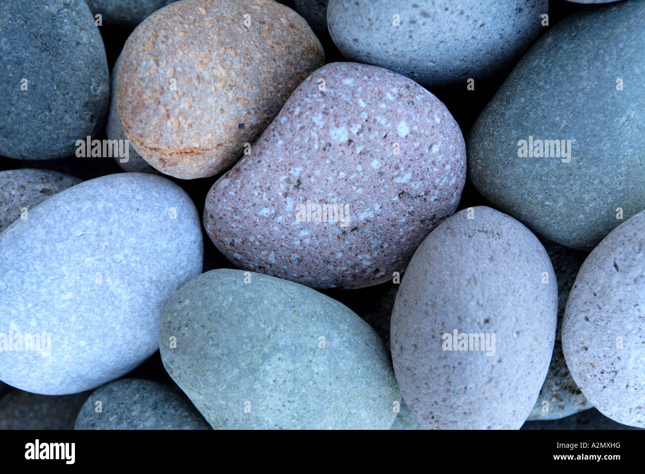 colored pebbles on a beach Stock Photo - Alamy