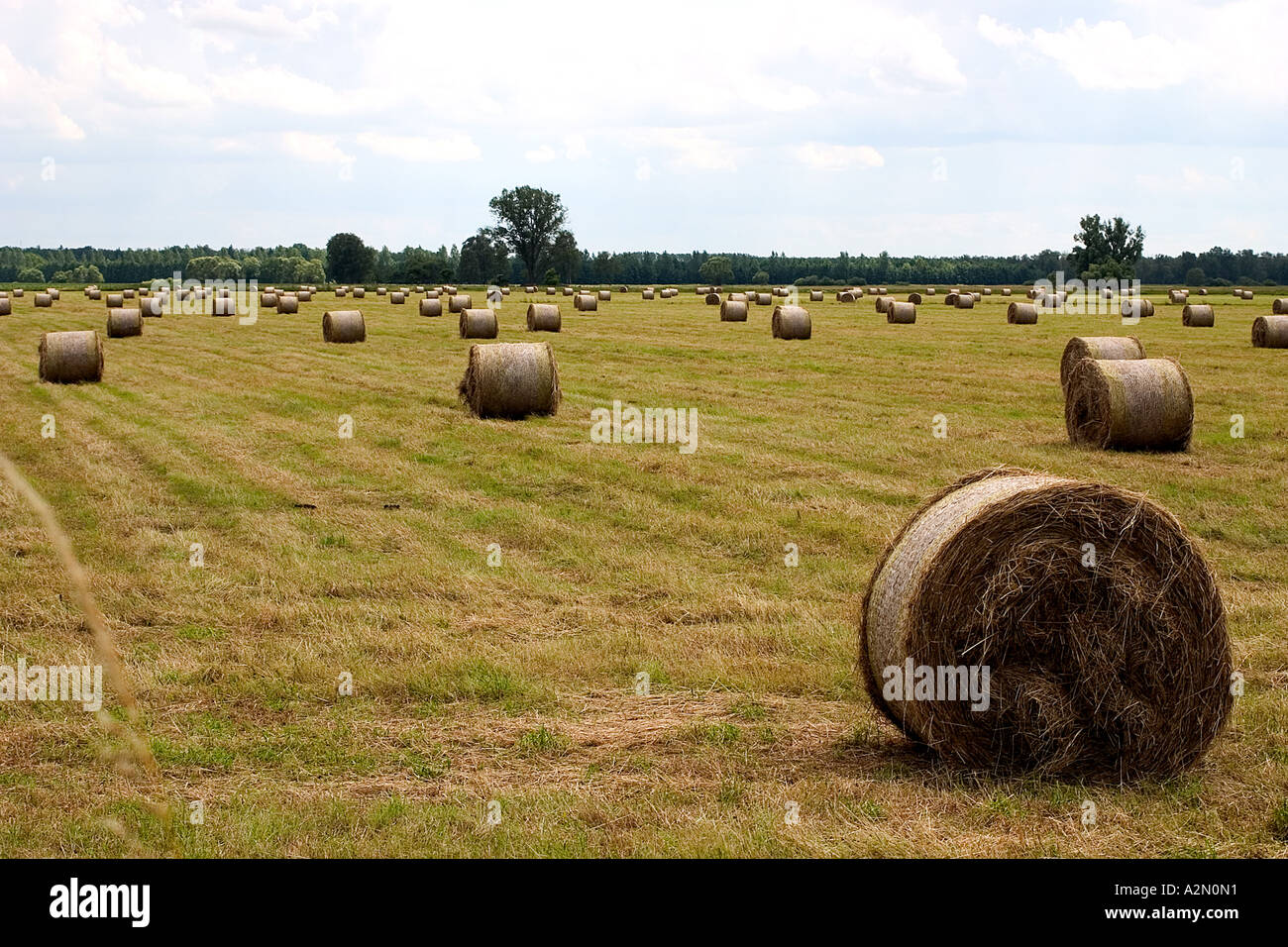 Hays bales hi-res stock photography and images - Alamy