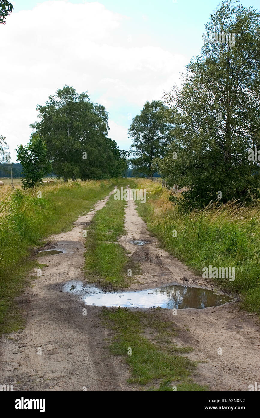 path; track; puddle; slop Stock Photo - Alamy
