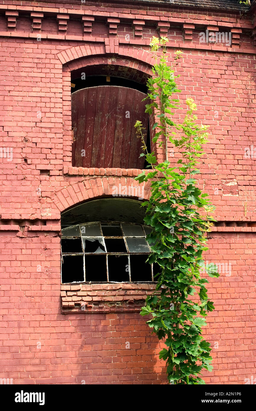 borken window at the red barracks Stock Photo - Alamy
