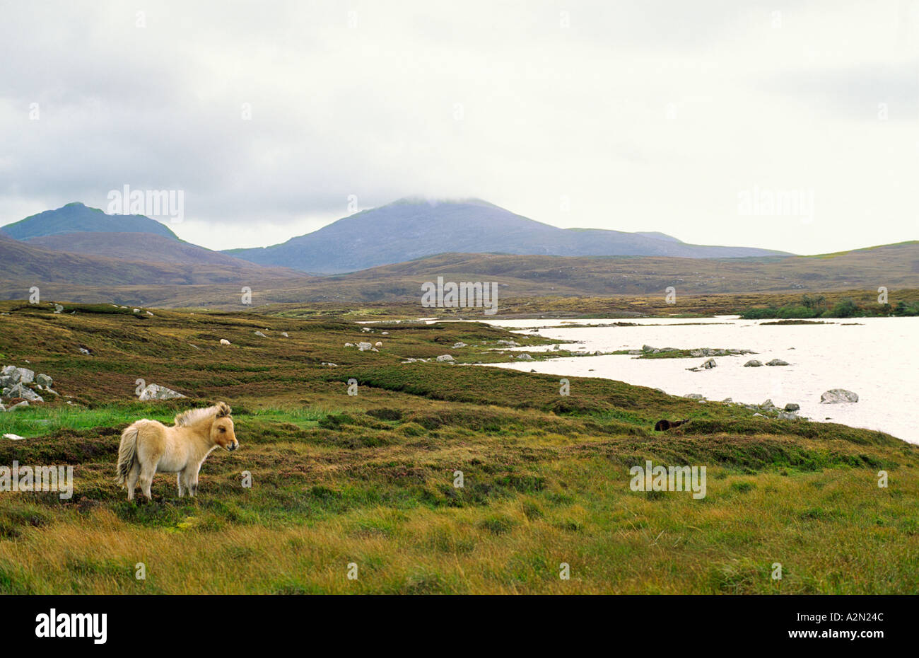 Hebridean island of South Uist in the Outer Hebrides, Scotland, UK ...