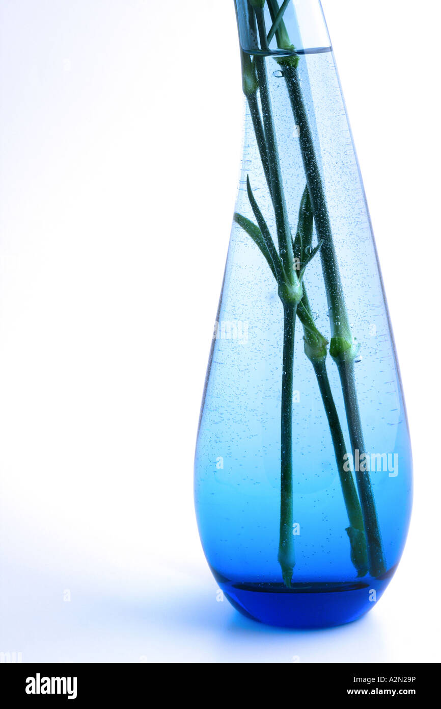 Flower stems in blue glass vase Stock Photo - Alamy