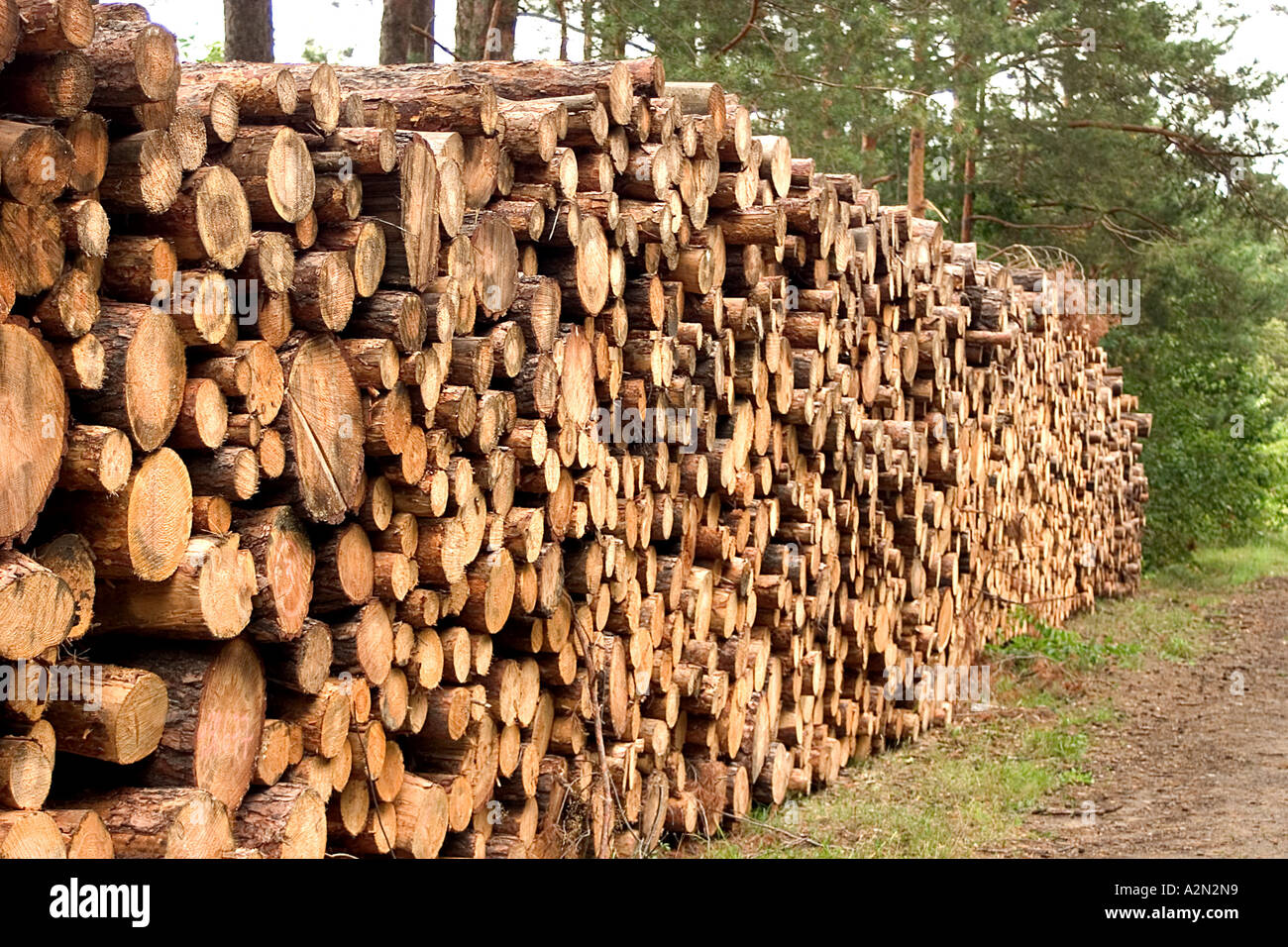 Wood storages hi-res stock photography and images - Alamy