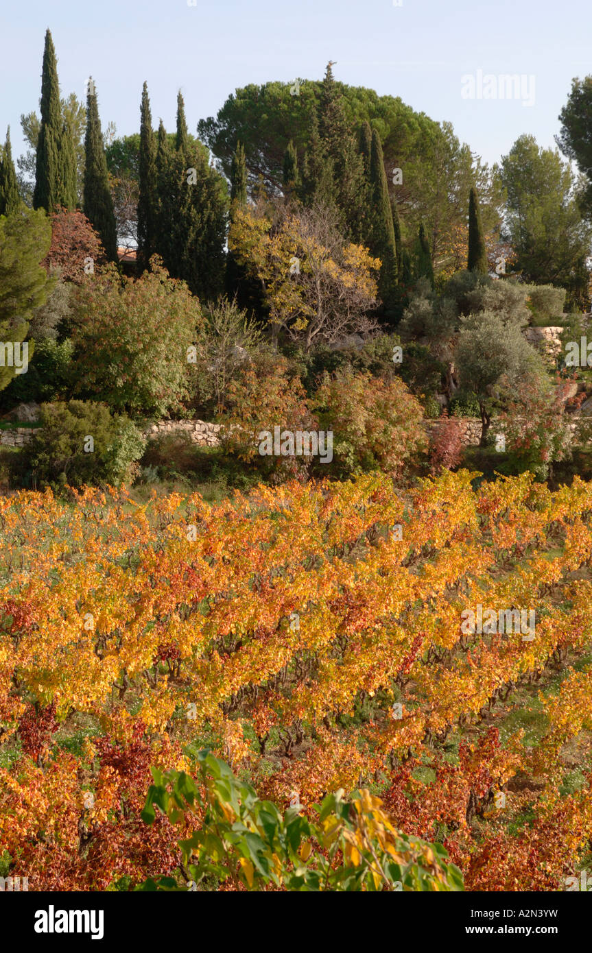 Autumn in Provence Stock Photo - Alamy