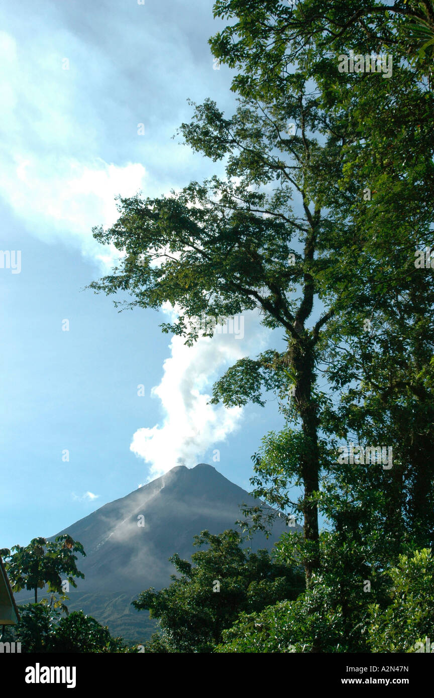 Trees in front of volcano, Arenal Volcano National Park, Costa Rica ...