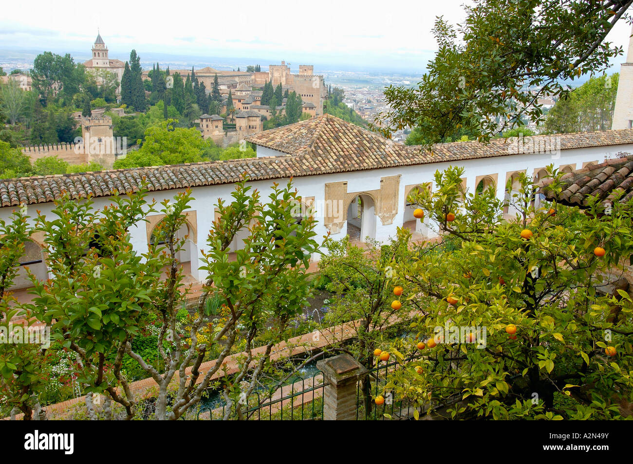 Trees in front of palace, Alhambra Palace, Granada, Granada Province ...