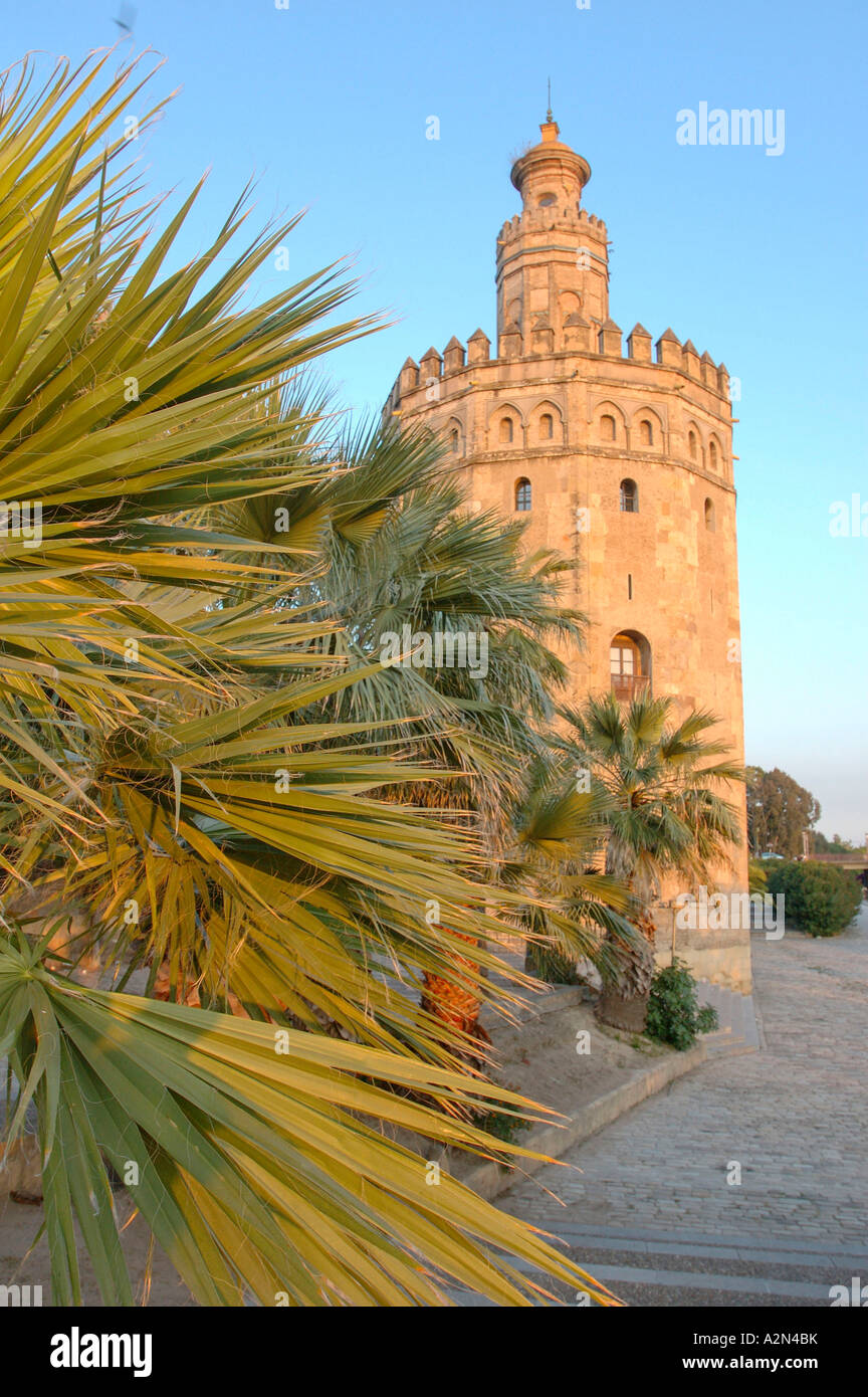 Trees in front of tower, Andalusia, Spain Stock Photo - Alamy
