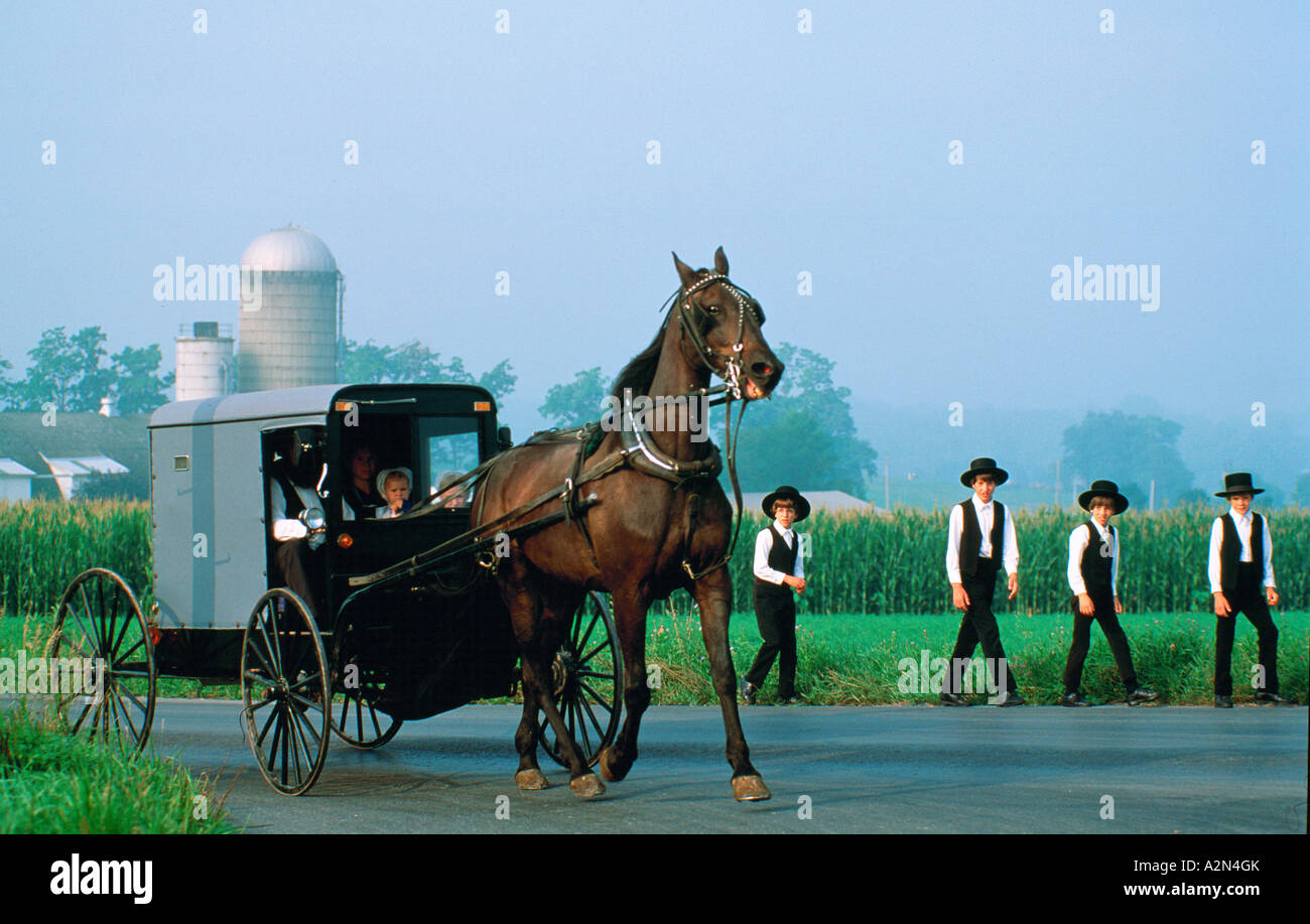 People sitting in horsedrawn carriage with four boys in background ...