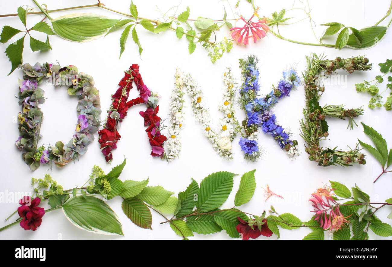 Danke with flowers hi-res stock photography and images - Alamy
