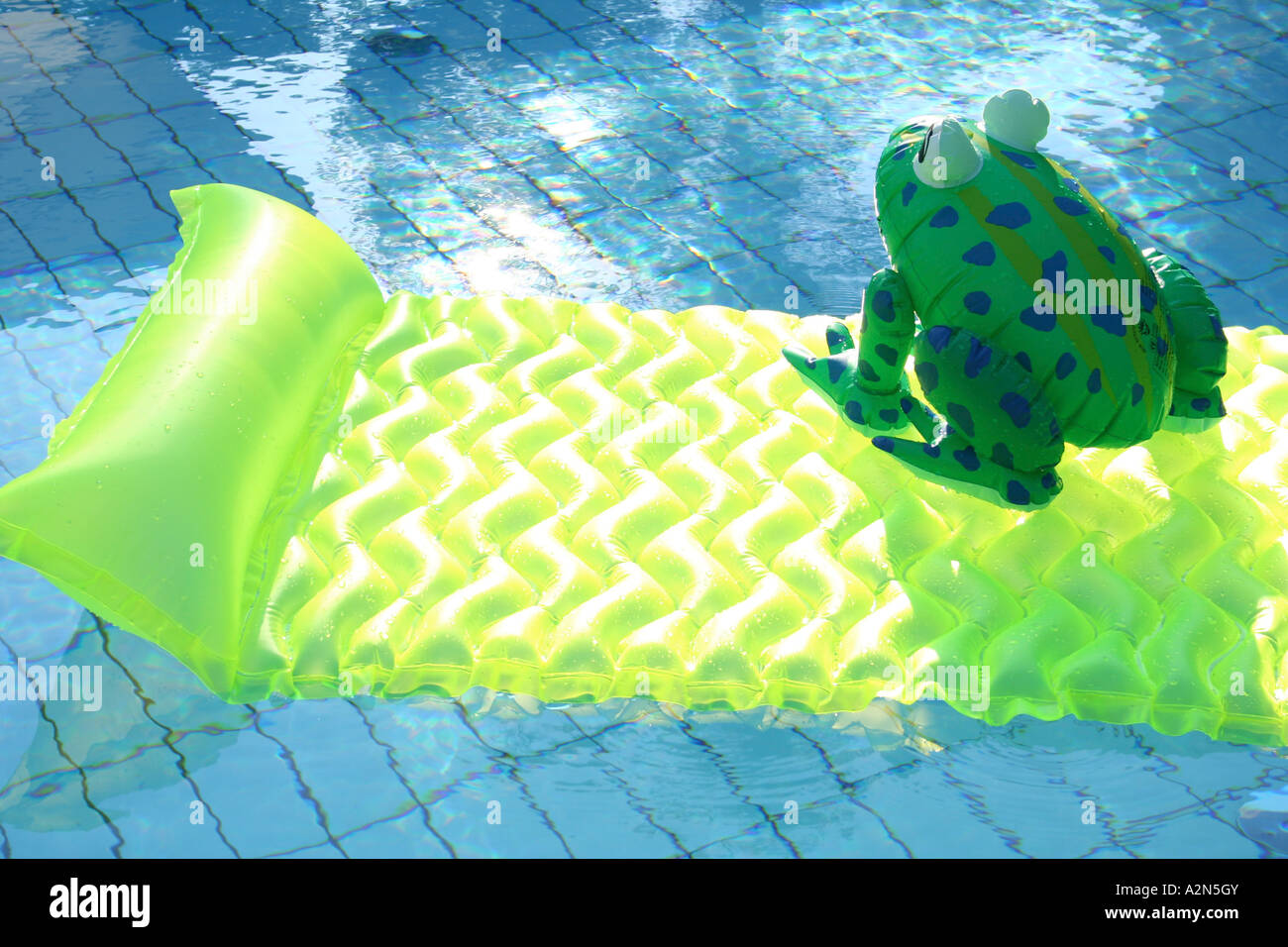 High angle view of inflatable frog on pool raft in swimming pool Stock ...